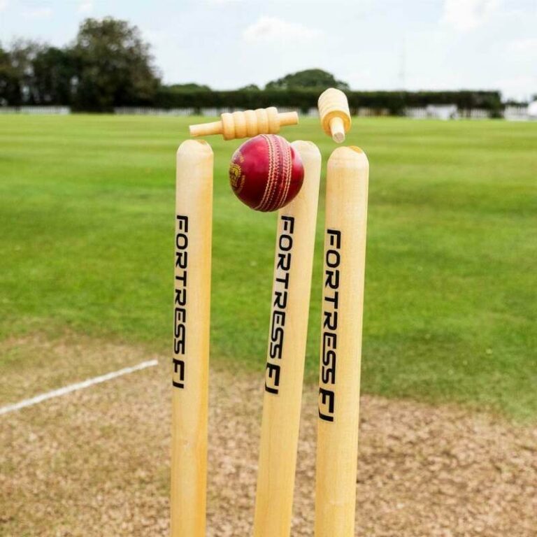 Cricket Terminology Explained | Net World Sports