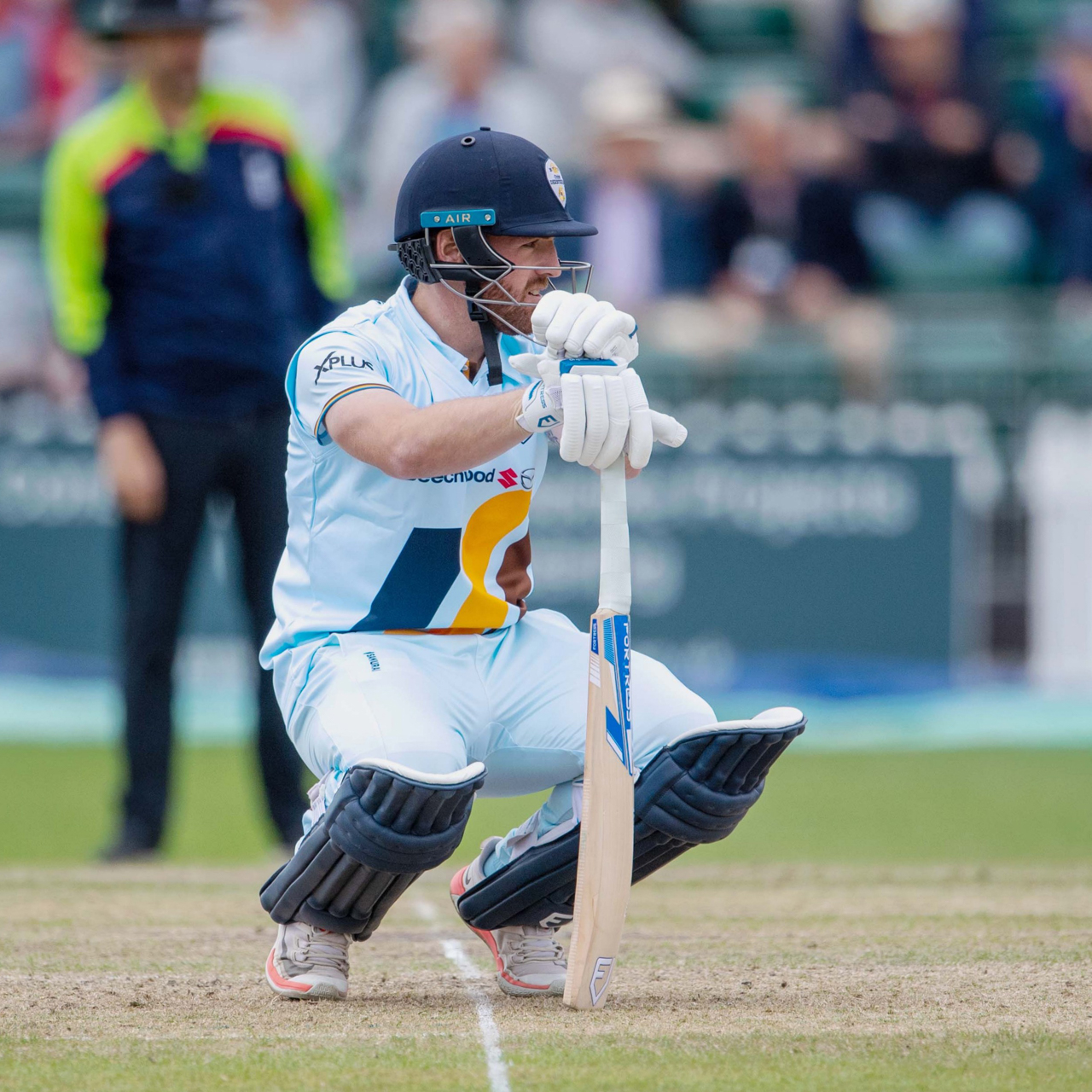 David Lloyd Continues as FORTRESS Cricketer | Net World Sports