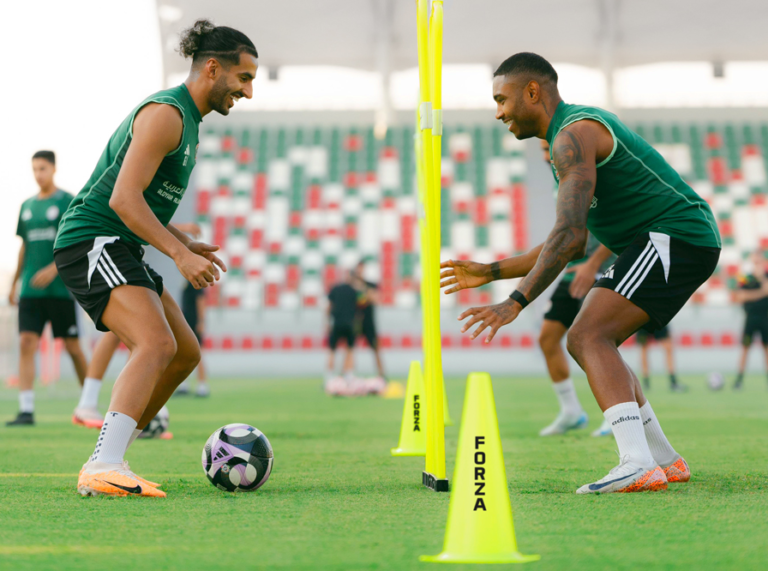 The Complete Guide to Artificial Football Pitches | Net World Sports