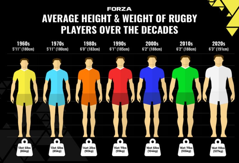 Rugby Union Positions & Numbers Explained | Net World Sports