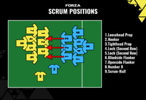 Rugby Union Positions & Numbers Explained | Net World Sports