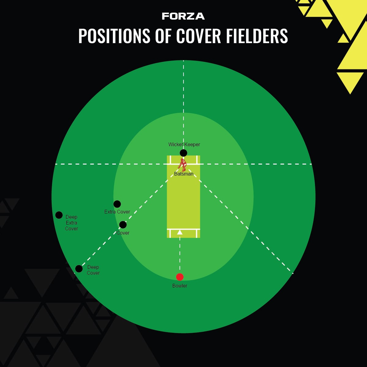 Cricket Fielding Positions Explained | Net World Sports